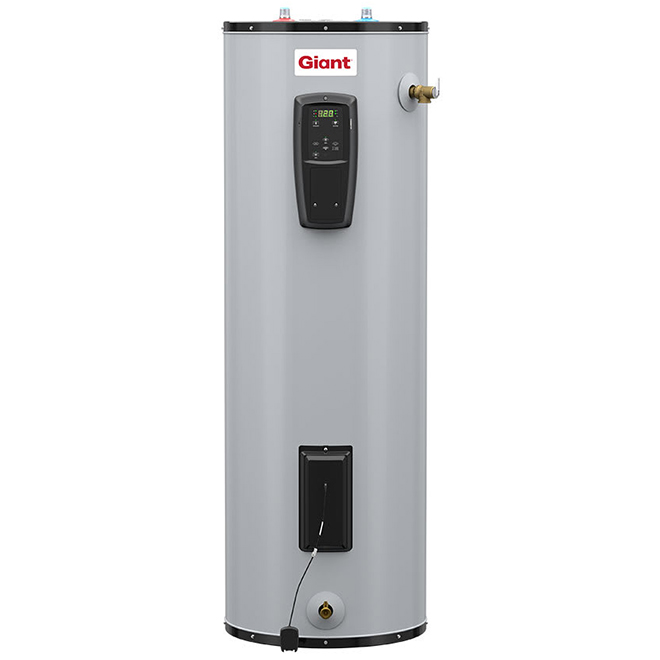 Giant Electric Water Heater with Wi-Fi Technology - 60-gal. imp (287-L ...