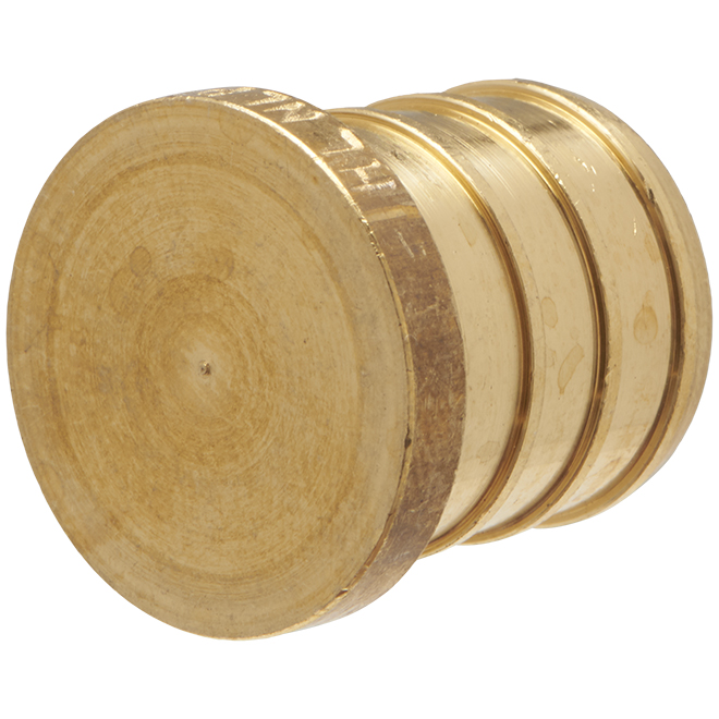 AQUA-DYNAMIC Lead Free PEX Plug - 3/4" 9779-004 | RONA