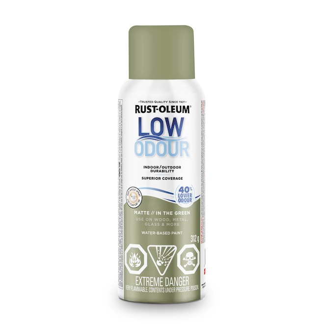 Rust-Oleum 312-g Water-Based Low Odour Matte Green Spray Paint 396739 ...