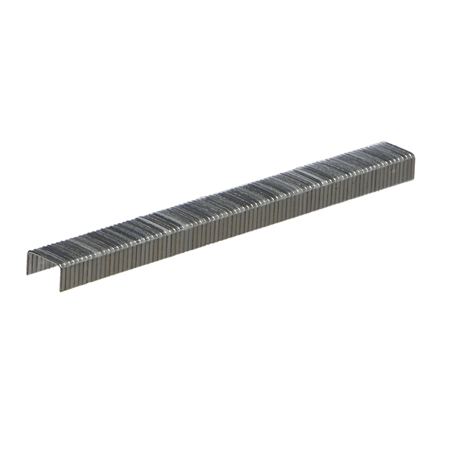 Foresto All-purpose T50 Staples - Narrow - 20-Gauge - Galvanized - 1/4 ...