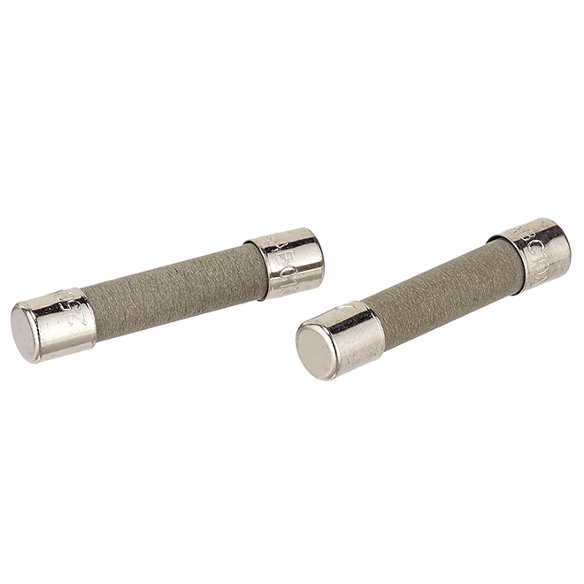 Cooper Bussmann 2-Pack 10 A Ceramic Fuse | RONA