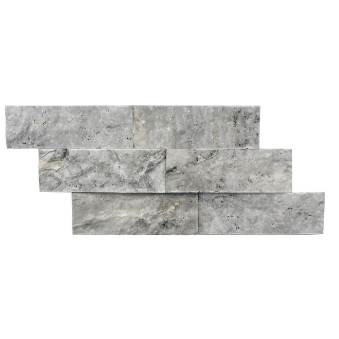 Avenzo Natural Stone Mosaic Subway Wall Tile - 6-in x 12-in - Silver TR ...