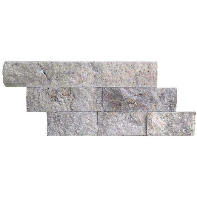 Avenzo Natural Stone Mosaic Subway Wall Tile - 6-in x 12-in - Silver TR ...