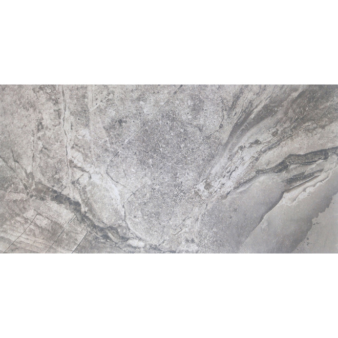 Avenzo Silver Porcelain Floor and Wall Tile - 12-in x 24-in ...