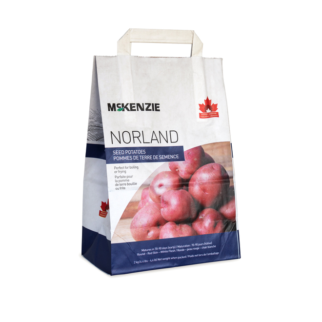 MCKENZIE Norland Seed Potatoes - 2.2 kg - Red 140933 | RONA