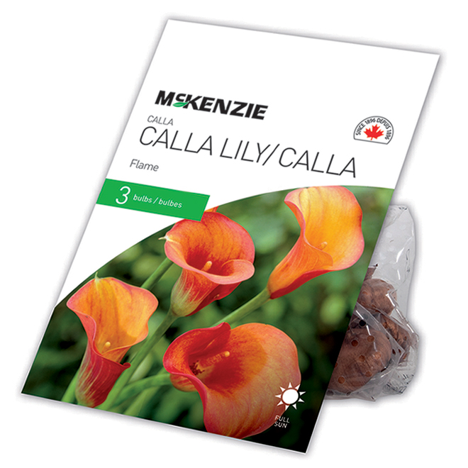 McKenzie Calla Lily Flame - 3 Bulbs - 14 to 16 cm - Orange 141059 | RONA