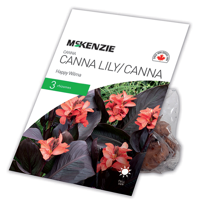 Canna Happy Wilma McKenzie, 3 rhizomes, saumon 141060 | RONA