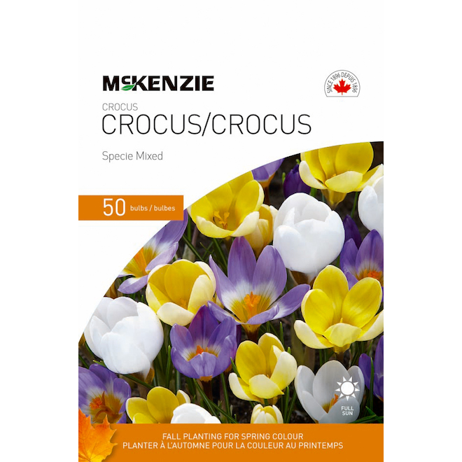 McKenzie Crocus Bulb Mix - 5-7 cm - Pack of 50 141333 | RONA