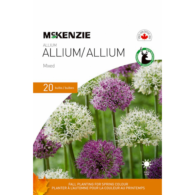 McKenzie Allium Bulb Mix - 10-12 cm - Pack of 20 141334 | RONA