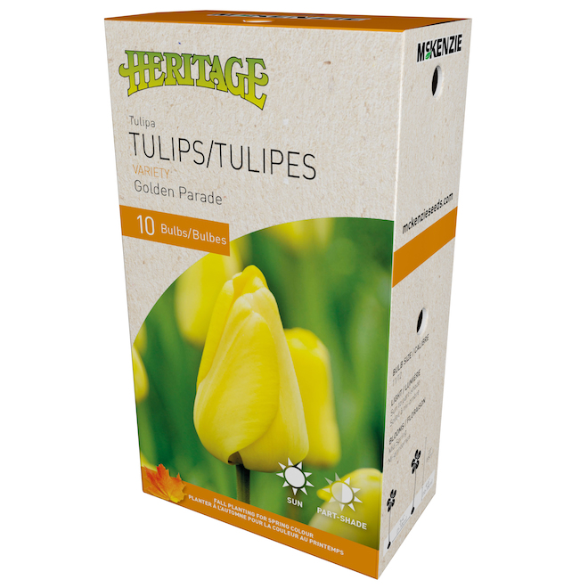 MCKENZIE Tulips Bulbs Golden Parade 10-Pack 141385 | RONA