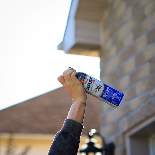 Insecticide en aérosol antiguêpes Wasp BGon Max par Ortho, 400 g ...