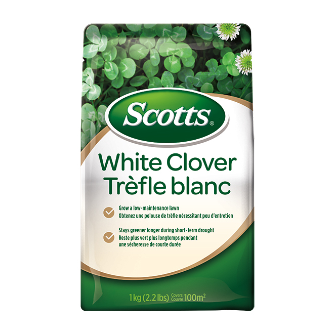 White Clover Seed White Dutch Clover Seeds | 1 Lb — Dancing Bee