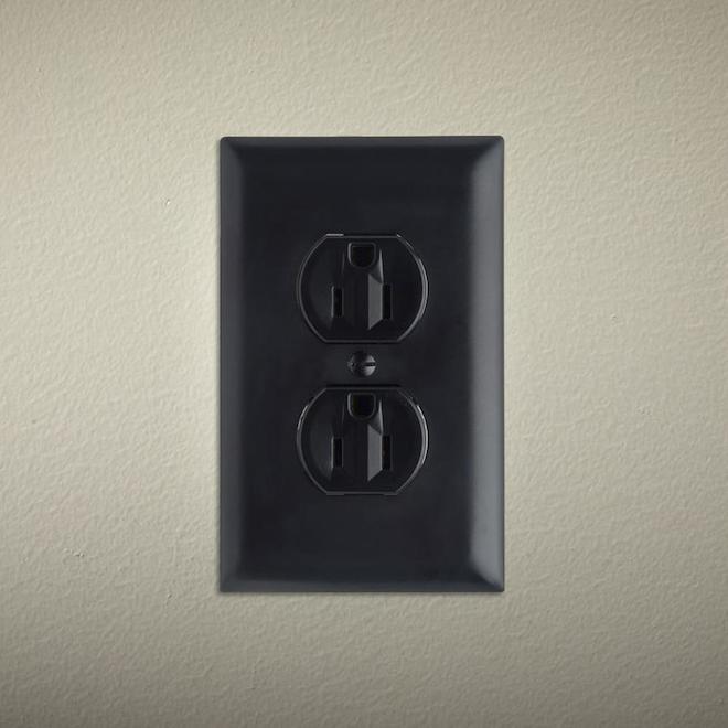Legrand TradeMaster 1-Gang Duplex Receptacle Wall Plate (Black ...