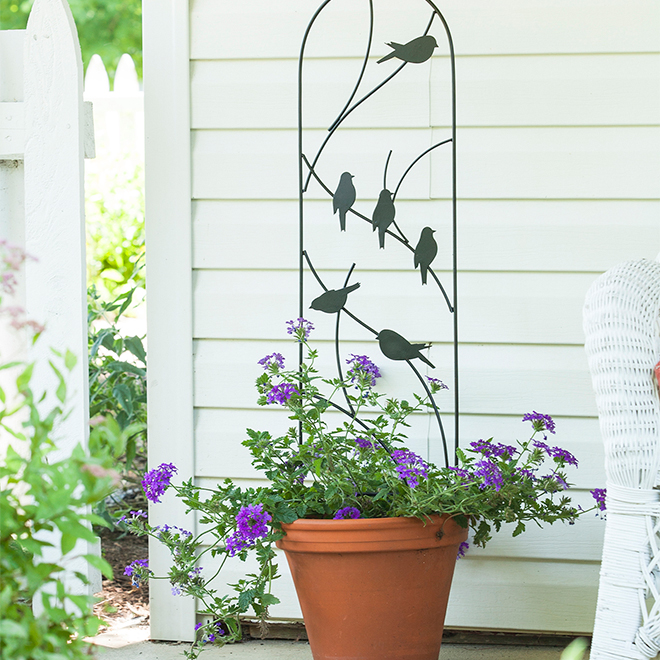 Decorative Trellis - Perching Birds - 10" x 40" - Black 84493 | RONA