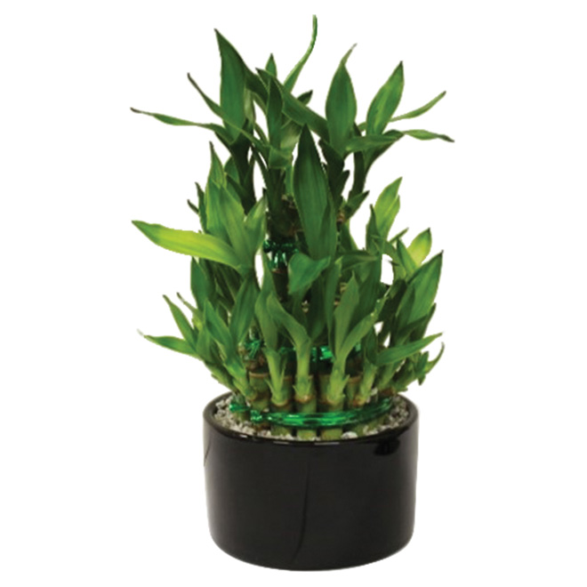 3-Tier Bamboo - Red/Black | RONA