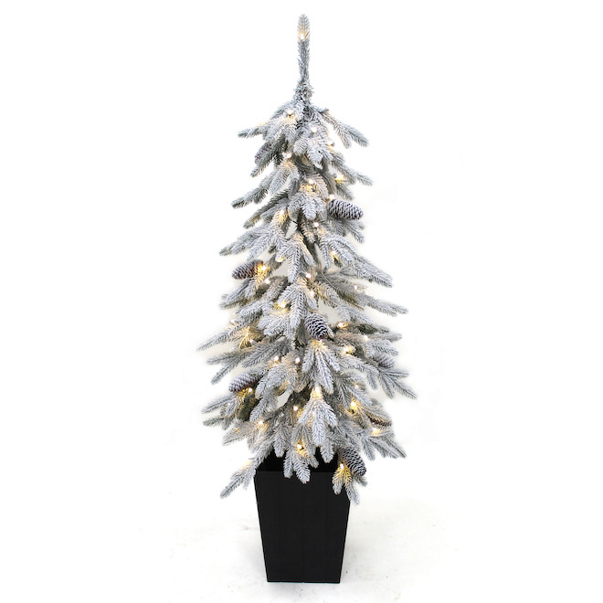 CELEBRATIONS BY L&CO Celebrations BY Landon & Co. Potted Snowy ...