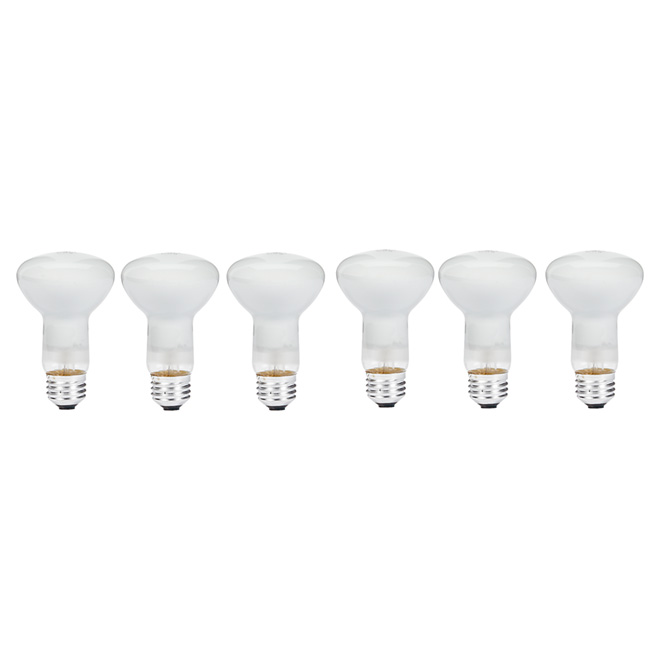GLOBE ELECTRIC Incandescent bulb R20 45W - Frosted 20045095 | RONA
