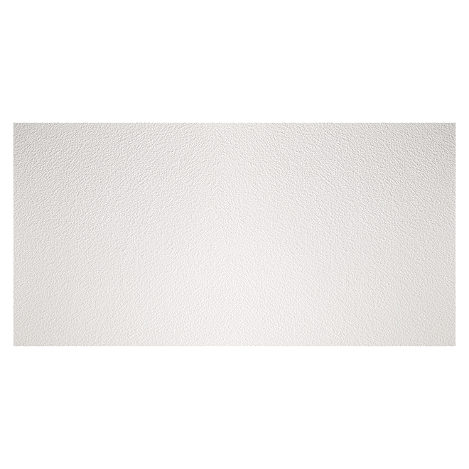 GENESIS Ceiling Tiles - 2' x 4' - White - Box of 10 765-00 | RONA