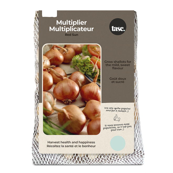 Tasc Onions Red Sun Bulbs - 8 Bulbs FRV0010 | RONA