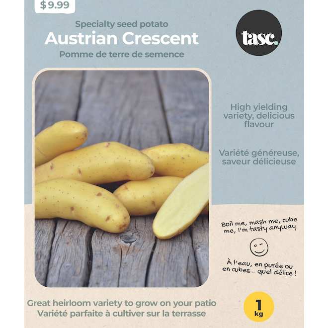 Tasc 'Austrian Crescent' Potato Seeds, 1 kg FRV0030 | RONA