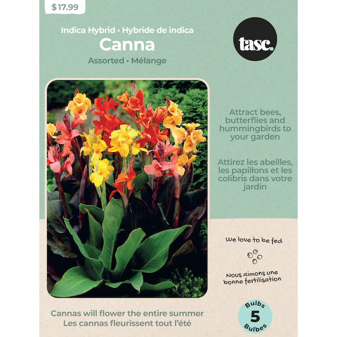Tasc Hybrid Indian Cane Bulb Assortment - 5 Bulbs CAN0001 | RONA