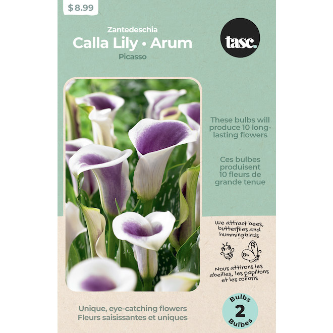 Tasc Arum Picasso Bulb Assortment - 2 Bulbs ZAN0018BB | RONA