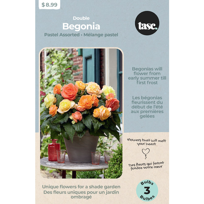 Tasc Double Pastel Begonia Bulb Assortment - 3 Bulbs BEG0002BB | RONA