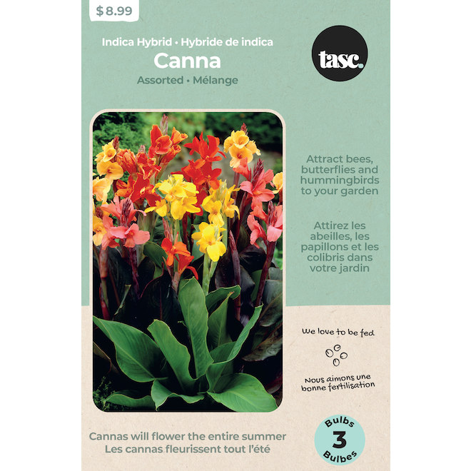 Tasc Hybrid Indian Cane Bulb Assortment - 3 Bulbs CAN0001BB | RONA