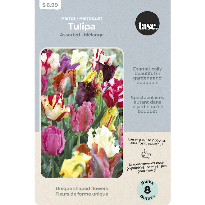 Tasc Assorted Parrot Tulips Bulbs TUL0002BB | RONA