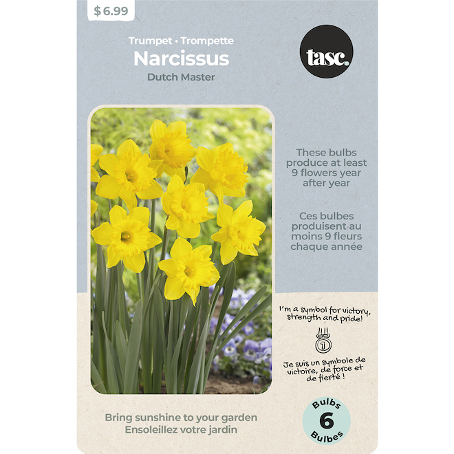 Tasc Dutch Master Assorted Trumpet Narcissus Bulbs NAR7001BB | RONA