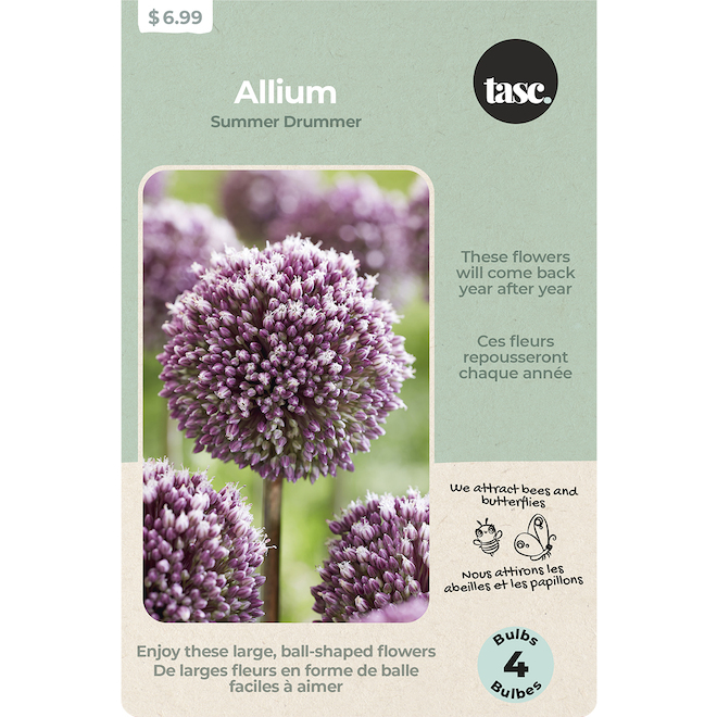 Tasc Assorted Summer Drummer Allium Bulbs ALL0025BB | RONA
