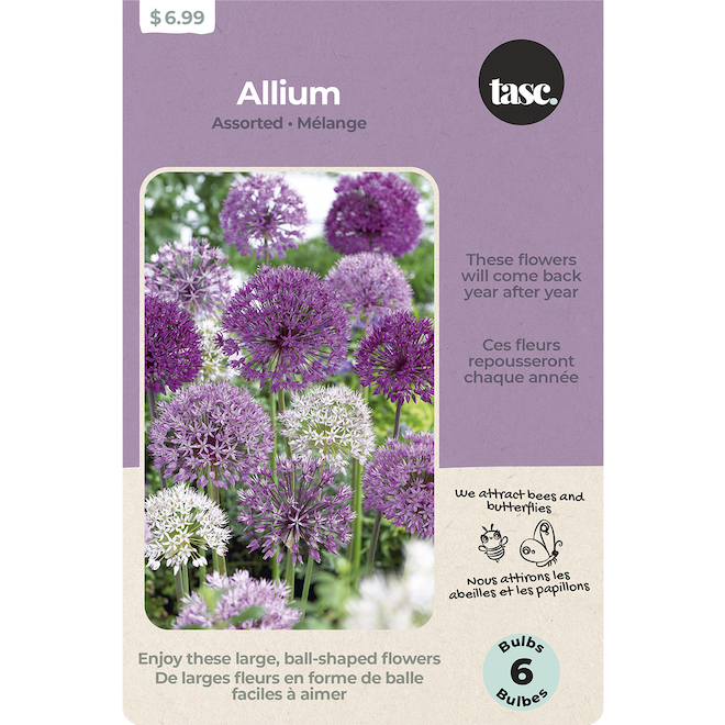 Tasc Assorted Fall Allium Bulbs - Vibrant Colours ALL0003BB | RONA