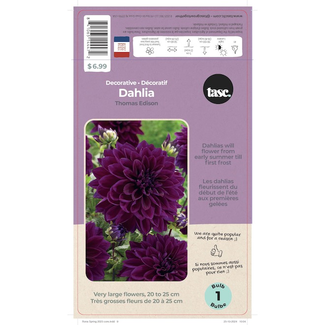 TASC Decorative Thomas Edison Dahlia Bulb - 1/Pk DAH7025-25 | RONA