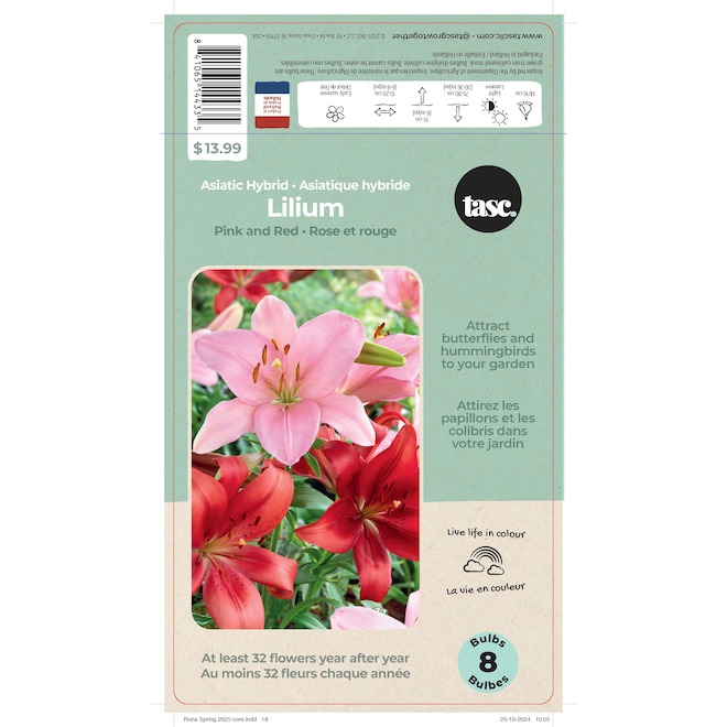 TASC Pink and Red Asiatic Hybrid Lilium Bulbs - 8/Pk LIL3004-25 | RONA