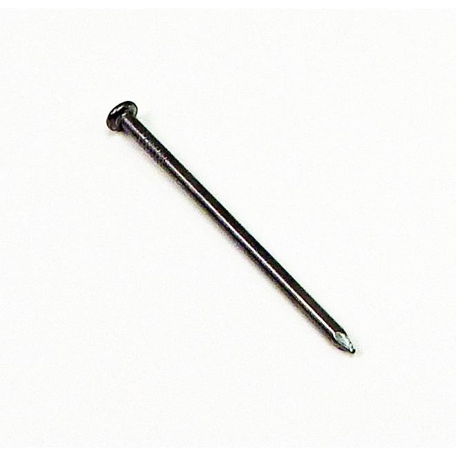 Tree Island 3-in 9-Gauge Bright Steel Smooth Common Nails 70030DISC | RONA