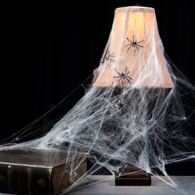 HOLIDAY LIVING Spider Web with 4 Spiders - 2 oz 65082 | RONA