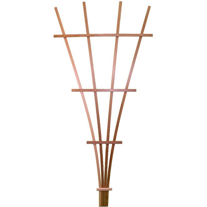 Aim Cedar Works 6-ft Cedar Trellis Fan N106 | RONA