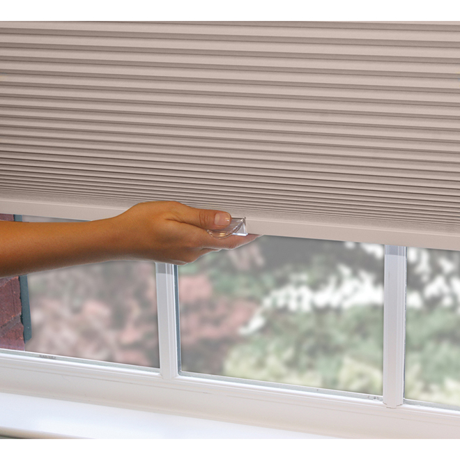 ALLEN + ROTH Cordless Blackout Cellular Shade - 30in x 64in - White ...