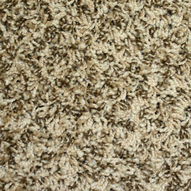 Stainmaster Carpet Colors With Names Stainmaster Active Family Carpet