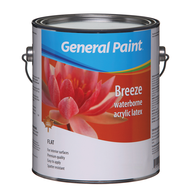 GENERAL PAINT Flat Finish Interior Latex Paint GE0052052-16 | RONA