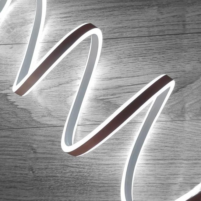 Cordon lumineux néon blanc DELSterno Home 12 pi avec télécommande ...