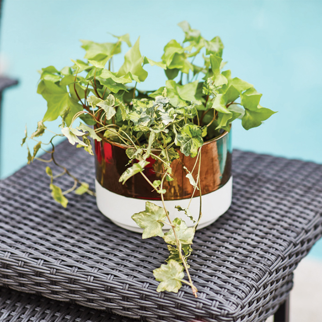 Allen + Roth Ceramic Planter - 8" x 5.5" - White and Gold 410444 | RONA