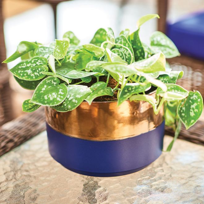 Allen + Roth Ceramic Planter - 8" x 5.5" - Blue and Gold 410795B | RONA