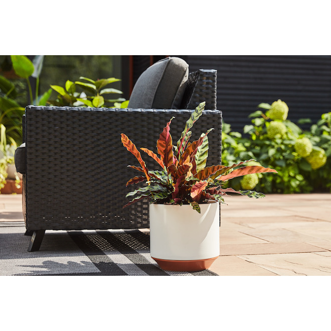 Pot cylindrique en céramique Allen + Roth, 10 po, blanc 410410B | RONA