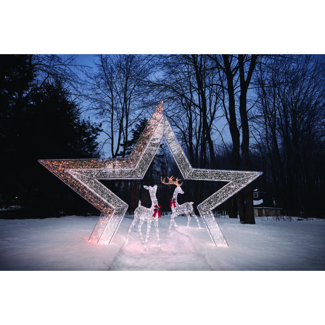 Holiday Living Lighted Doe with 160 LED Lights - PVC - 31-in x 13.5-in ...