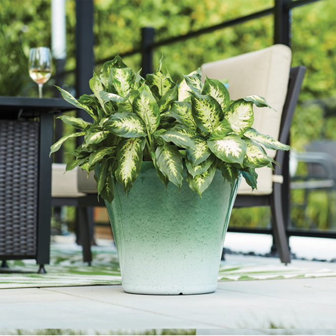 Style Selections Resin Planter - 15-in - Green PLR0415RGE | RONA