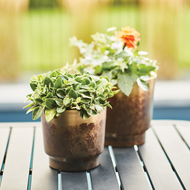 Pot à fleurs Allen + Roth, 7,6 po x 7,4 po, acier, or JJ-18-78896 | RONA