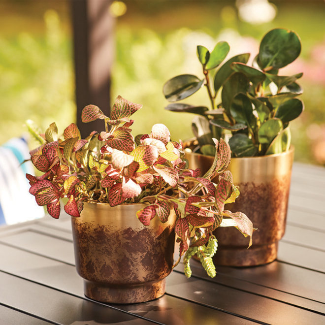 Allen + Roth Planter - 6.5-in x 6.4-in - Steel - Gold JJ-18-78897 | RONA