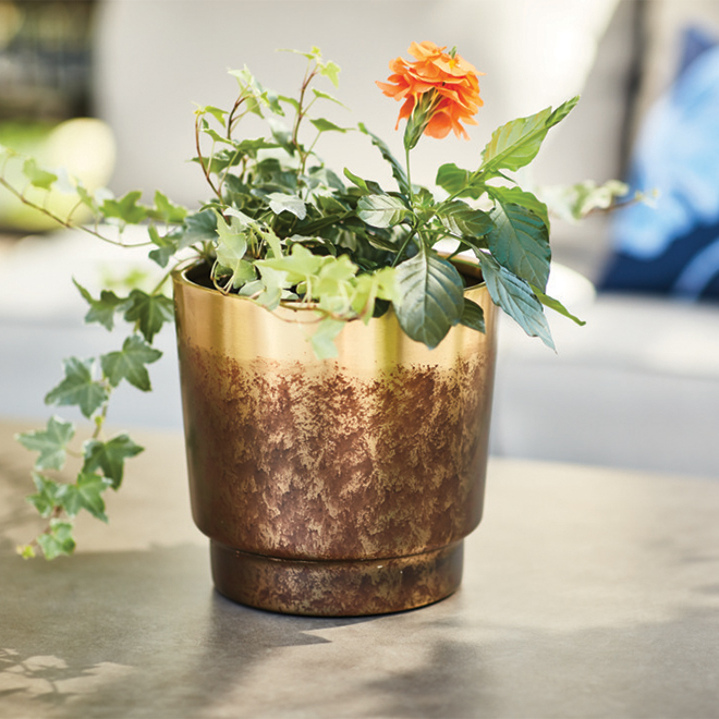 Allen + Roth Planter - 6.5-in x 6.4-in - Steel - Gold JJ-18-78897 | RONA