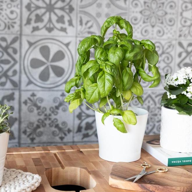 Panneau mural MDF MURdesign 48 po x 8 pi en bouleau mosaïque gris lisse ...